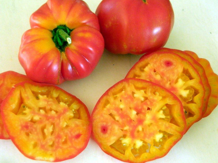 Tomato - Old German - St. Clare Heirloom Seeds