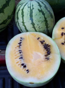 Watermelon - Desert King - St. Clare Heirloom Seeds