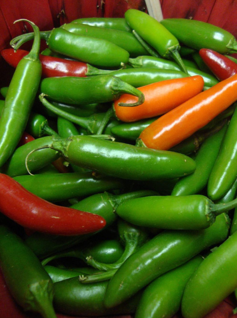 Hot Pepper - Serrano Chili - St. Clare Heirloom Seeds