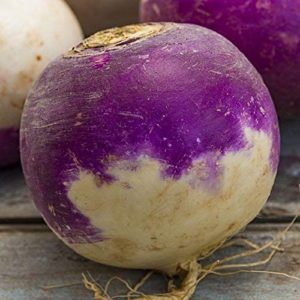 Rutabaga - Laurentian - St. Clare Heirloom Seeds