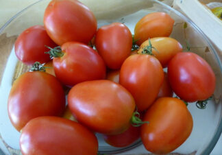 Tomato - Amish Paste - St. Clare Heirloom Seeds