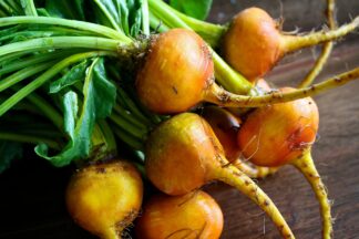 Beet - Golden Detroit - St. Clare Heirloom Seeds