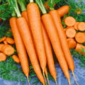 Heirloom Carrot Planting Guide: From Seed to Harvest - St. Clare ...