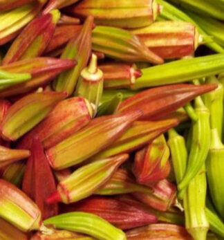 Okra - Hill Country Red - St. Clare Heirloom Seeds